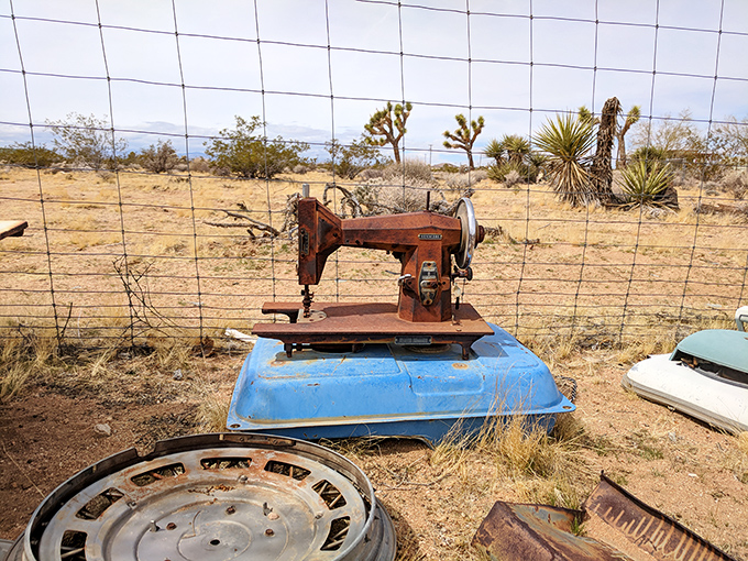 The ultimate seamstress retirement plan. This rusty Singer sewing machine has traded stitching fabric for weaving stories under the unforgiving desert sun.