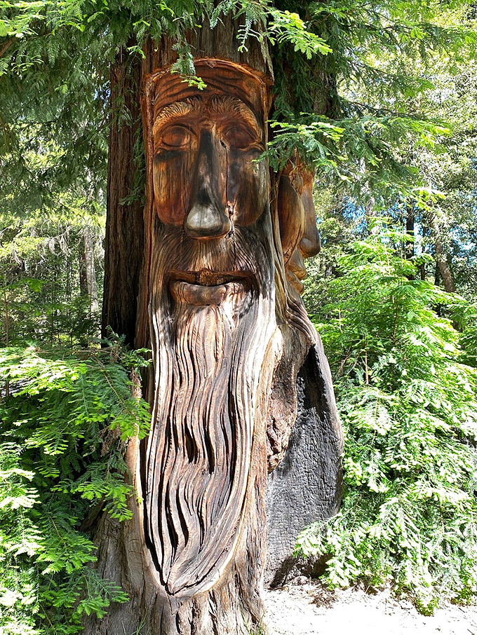 When nature inspires art, the results are as timeless as the trees that surround them. 