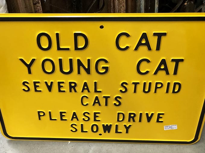 Not just a funny sign, but the perfect souvenir for the cat lover in your life. Humor that would've made your grandpa chuckle still works today.