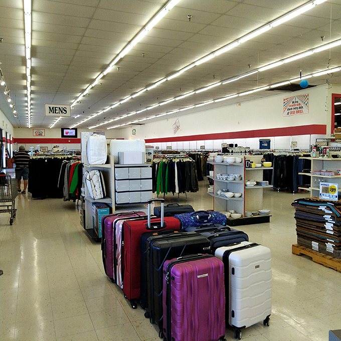 Luggage lineup ready for second chances. These suitcases have stories to tell and new adventures to embark upon.