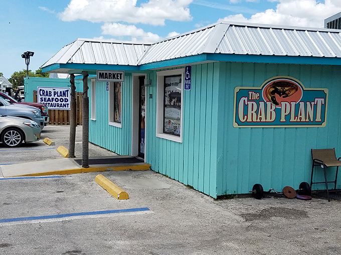 The Crab Plant's turquoise exterior is like a beacon for seafood lovers – promising the freshest catch this side of catching it yourself.