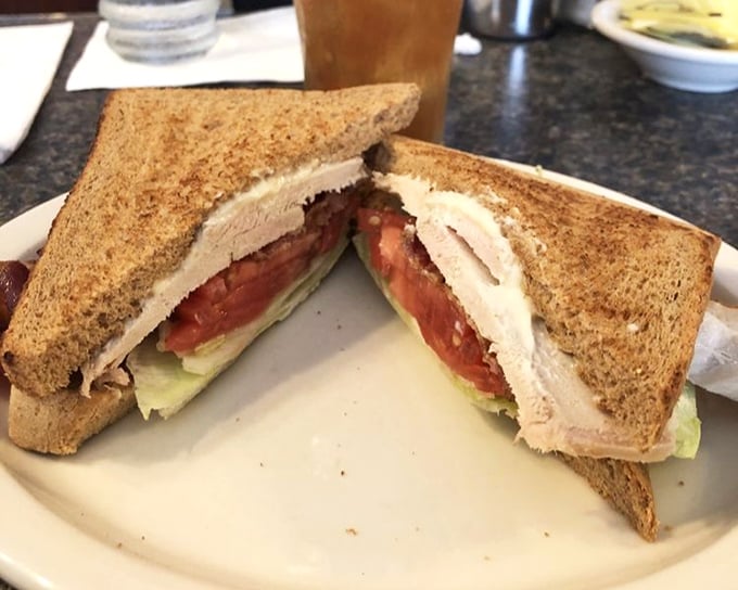 Turkey sandwich architecture at its finest—perfectly toasted bread, fresh vegetables, and generous meat creating the lunch equivalent of a standing ovation.