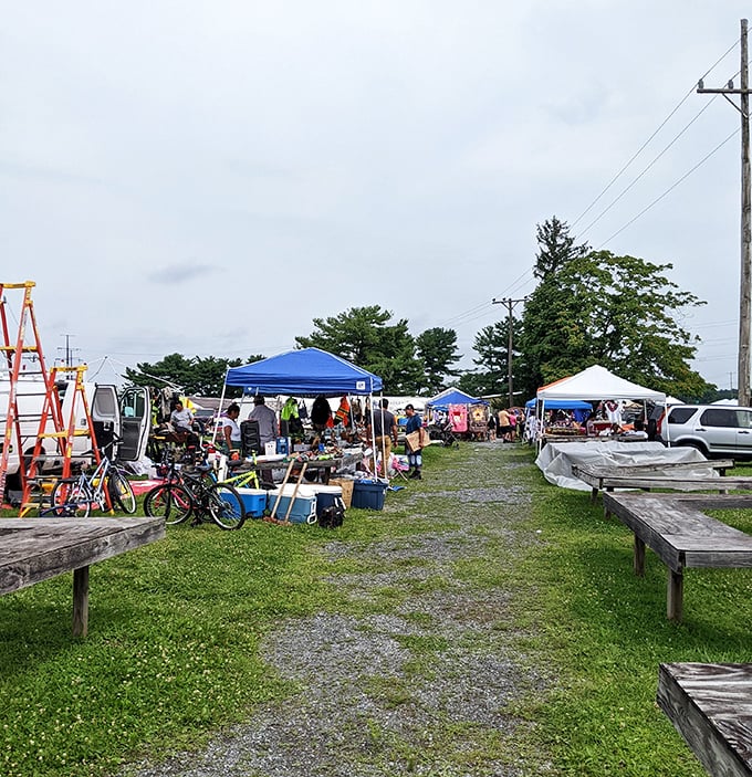 The quintessential flea market scene: tents, treasures, and the tantalizing possibility that your perfect find is just around the corner. The hunt is always worth it.