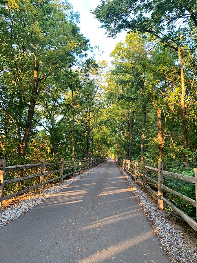 The Warwick-to-Ephrata Rail-Trail offers a tree-canopied escape where dappled sunlight plays on the path and the modern world feels delightfully distant.