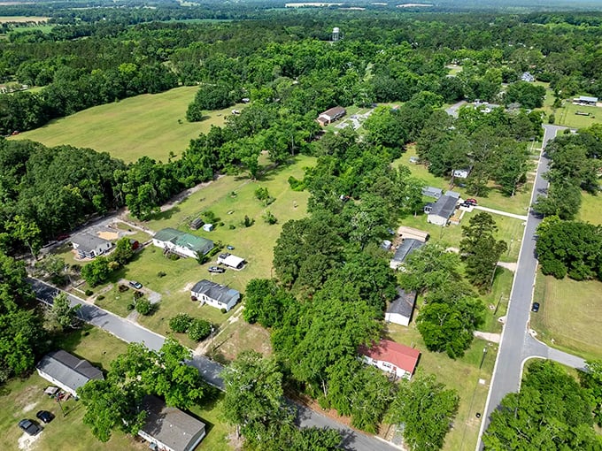 From above, Boston reveals its true character—a perfect balance of green spaces and community, where streets curve gently through a canopy of Southern trees.