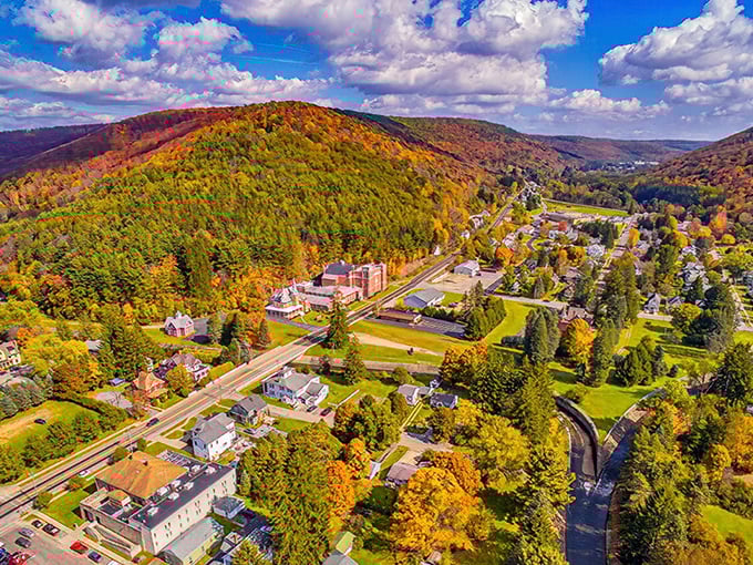 Autumn transforms Coudersport into a painter's palette of reds, oranges, and golds, cradling the town in valleys that seem designed specifically for fall foliage tours.