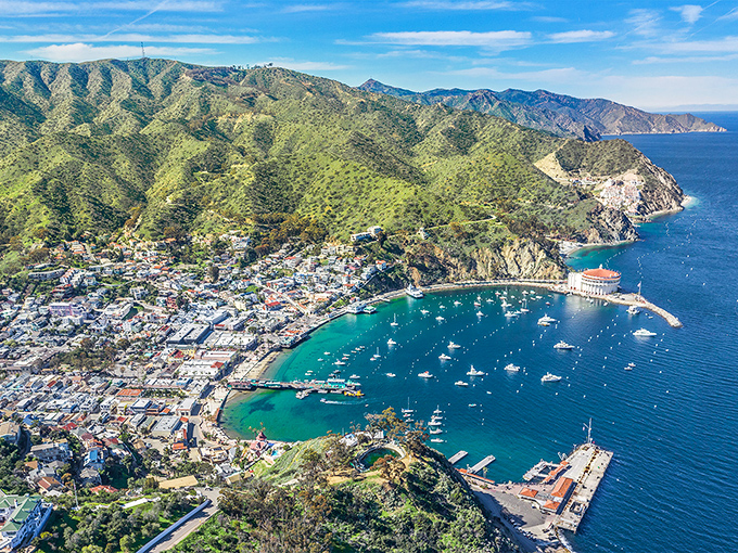 Catalina's perfect horseshoe harbor cradles Avalon like nature designed it specifically for postcard photographers and travelers seeking Mediterranean vibes without passports.