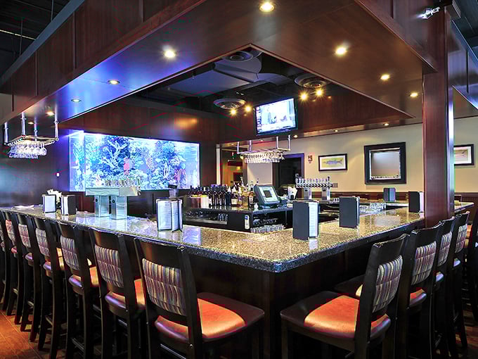 A bar designed for both serious drinking and serious eating. That aquarium isn't just decoration – it's previewing what might end up on your plate.