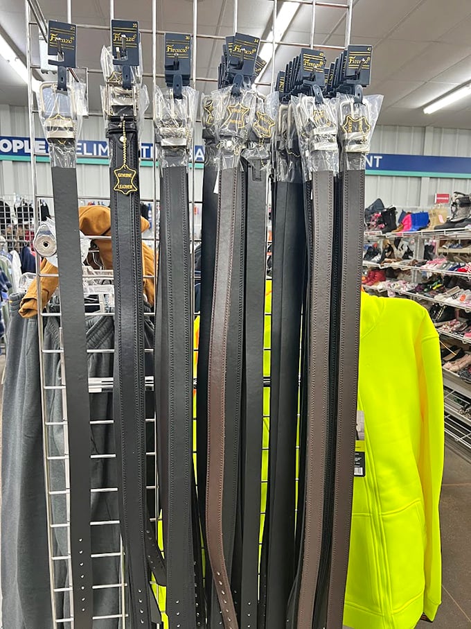 The belt display—where fashion meets function. These leather loops have held up countless pants and will continue their noble duty for years to come.