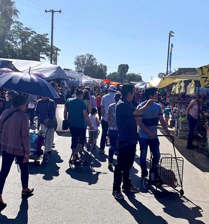 The universal language of bargain hunting brings together a community of treasure seekers—shopping carts and umbrellas in hand, united in the thrill of discovery.