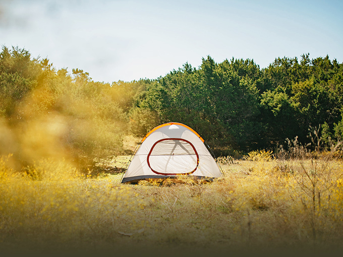 When day visitors depart, nearby camping offers stargazing opportunities that city dwellers have forgotten exist. Nature's light show begins at sunset.