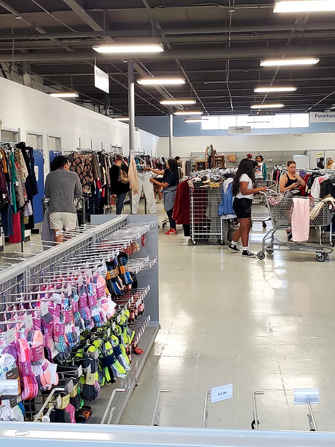 The thrill of the hunt in action—shoppers navigate the aisles with the focus of archaeologists discovering ancient civilizations.