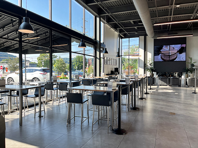 The dining area bathed in natural light—civilization's greatest achievement where people gather to commune with coffee and carbs in peaceful harmony.
