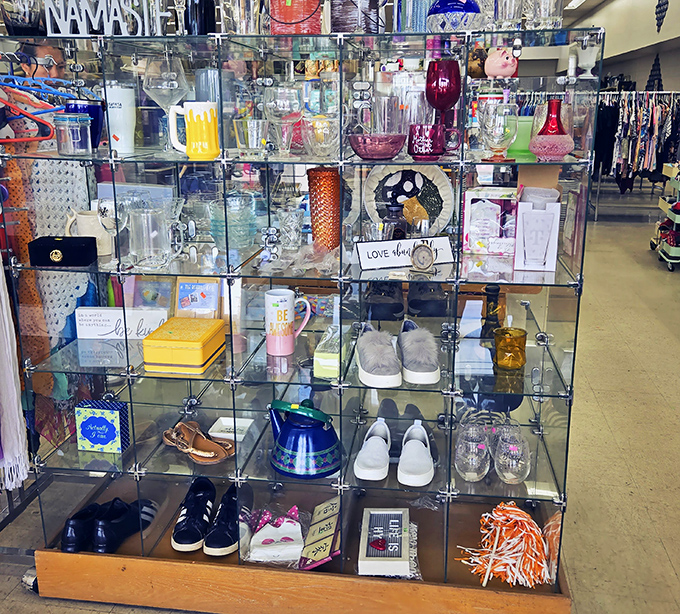 The glass display case: where the real treasures hide. These curated finds represent the best of what comes through these doors—small treasures with big potential.