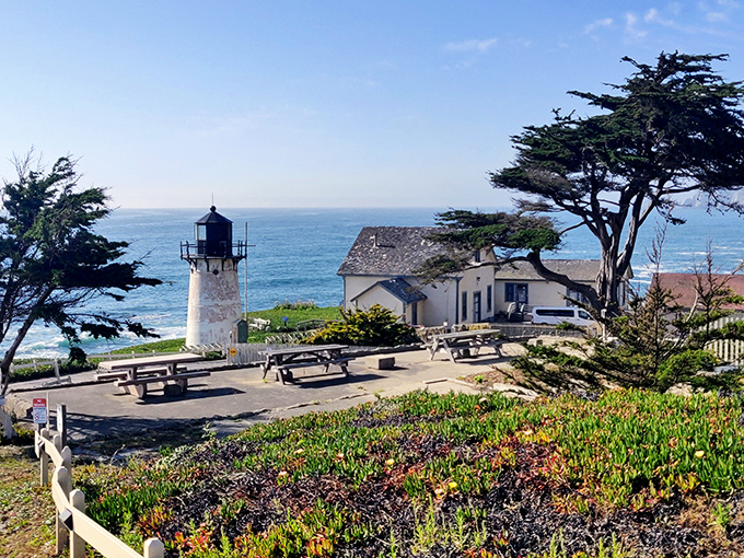 Paradise found: picnic tables with million-dollar views. This is the California dream that real estate developers charge fortunes for, available to anyone with a backpack.