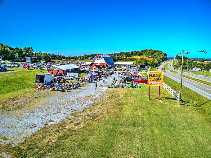 The siren call of bargain hunting beckons from the roadside. This welcoming scene has caused more spontaneous U-turns than any fancy billboard could ever dream of achieving.
