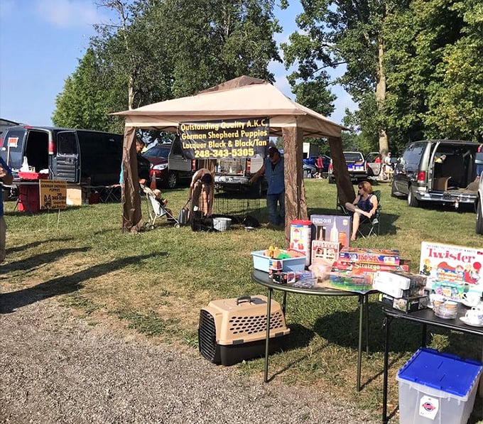 Puppy dreams and dog supplies under one tent. The ultimate impulse purchase that requires fifteen years of commitment.