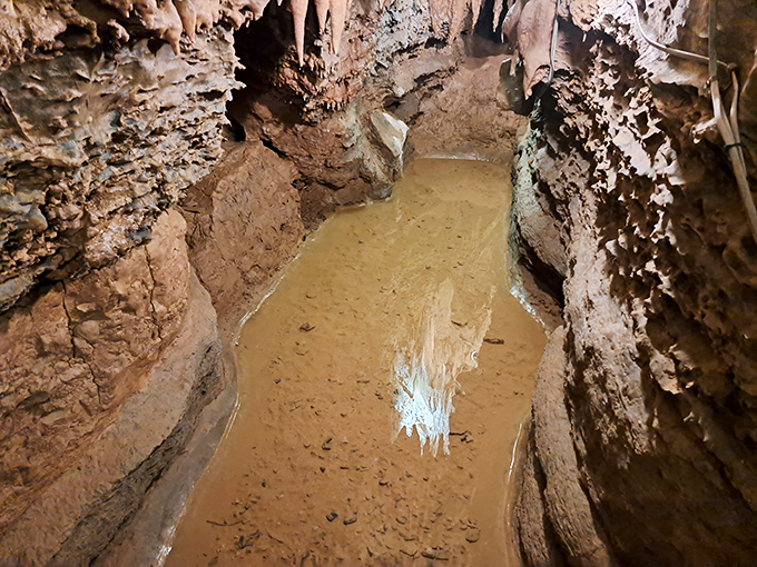 When it rains, it pours—sometimes right into the caverns, creating temporary pools that reflect the ancient ceiling above.