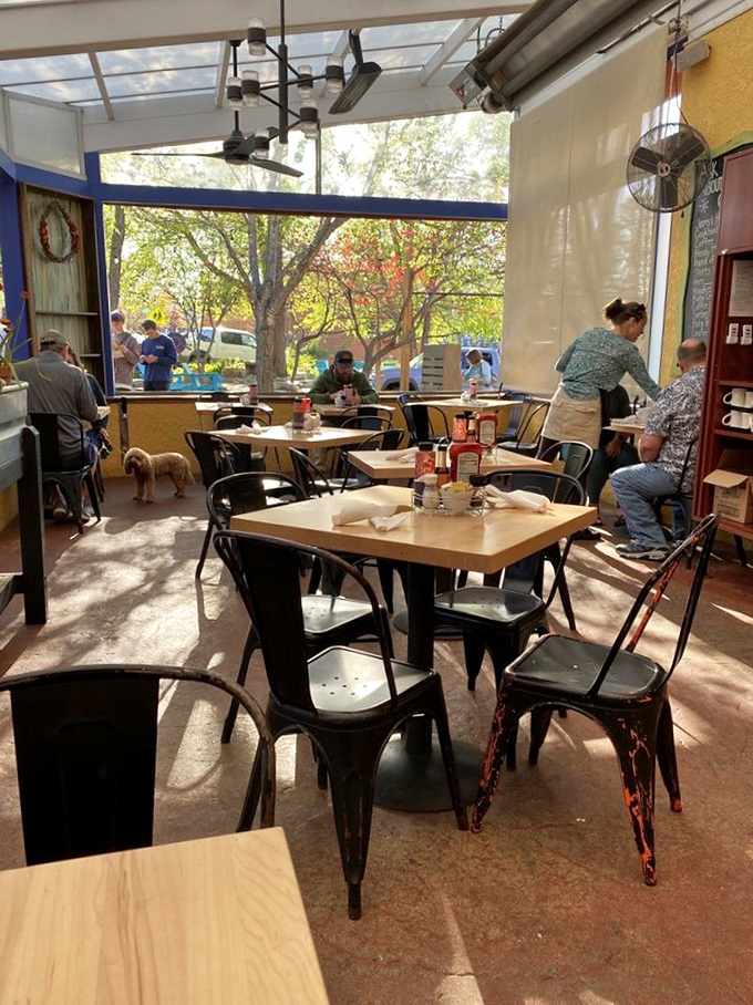 Sunlight streams through windows like it's auditioning for a role in your breakfast experience – and getting a standing ovation.
