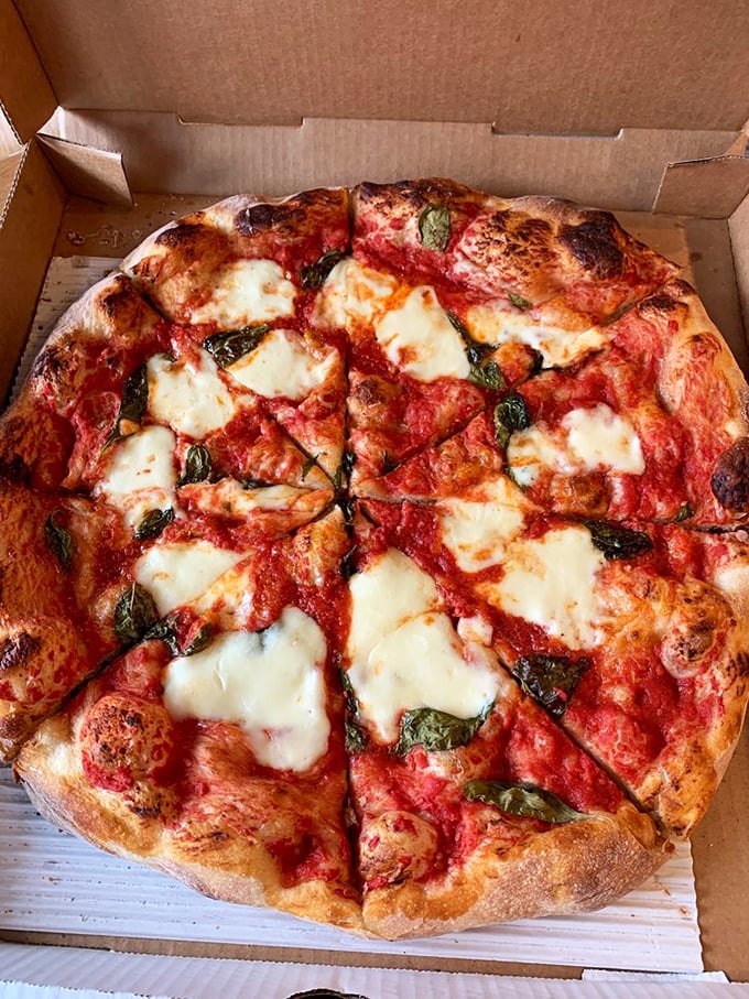 The Margherita pizza that makes minimalism an art form. Pools of fresh mozzarella, bright tomato sauce, and basil leaves create the holy trinity of pizza perfection.