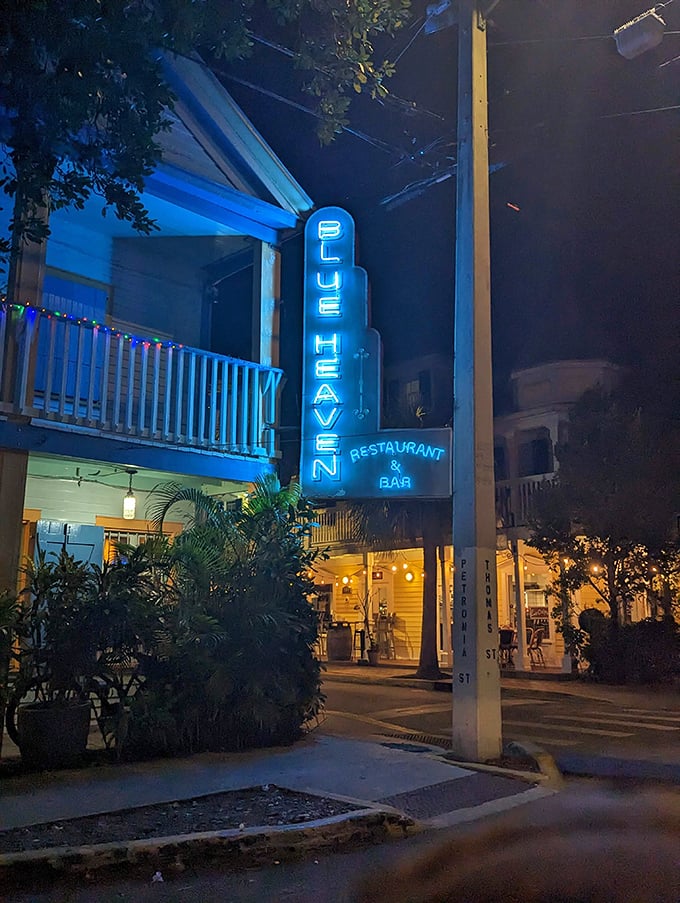 That neon blue glow in the night says you've arrived somewhere special—like a lighthouse guiding hungry souls to flavor salvation.