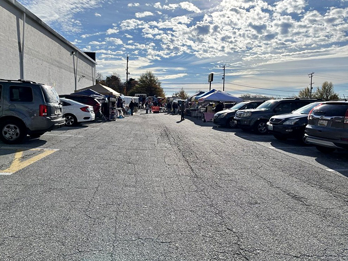The parking lot: first battlefield in the weekend warrior's campaign. Early birds get the spaces closest to the entrance—and the best finds inside.