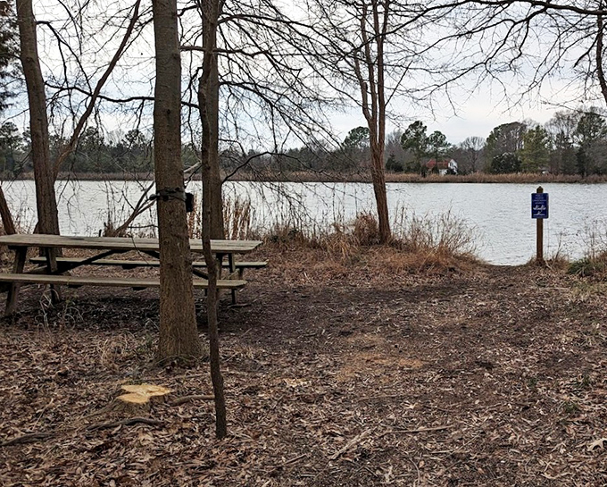 This unassuming picnic spot has hosted more memorable moments than many five-star restaurants—and with a far superior view.