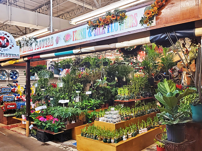 A garden center oasis amid the market hustle. These plants aren't just decorations—they're future bragging rights when visitors ask, "Where did you get that?"