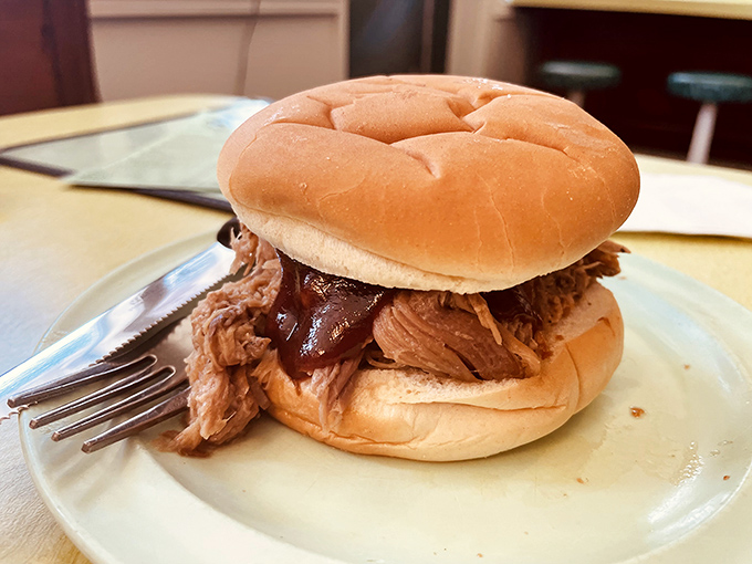 A pulled pork sandwich that doesn't need height or architectural garnishes to impress—just honest flavor that speaks volumes.