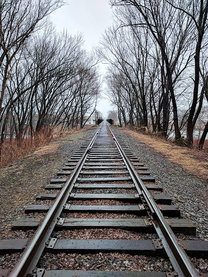These tracks lead somewhere and nowhere at once—a perfect metaphor for the best kind of afternoon wandering.