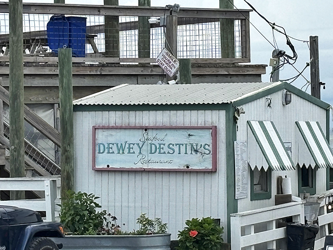 A sign that promises more than just a meal—it's an invitation to experience Florida's seafood legacy one bite at a time.
