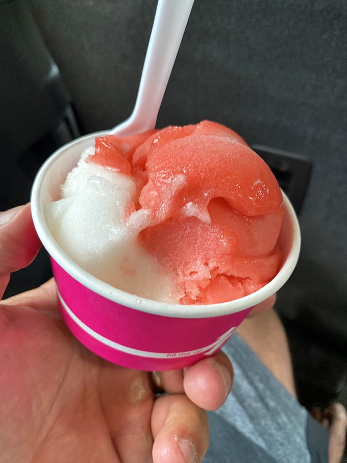 The perfect split of strawberry and vanilla sorbet looks like Florida's sunset captured in frozen form—refreshing, vibrant, and impossible to resist on a hot day.