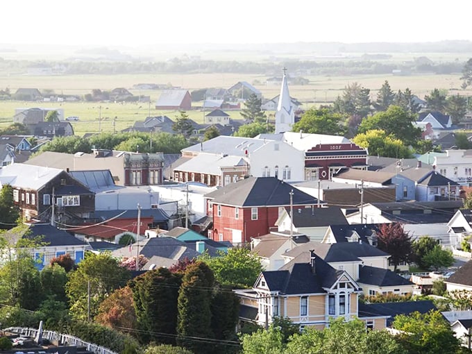 From above, Ferndale reveals itself as a tight-knit community of colorful rooftops nestled between rolling farmland and distant mountains – small-town America at its finest.