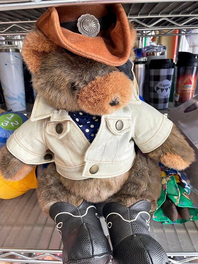 This dapper bear in his jacket and cowboy hat is ready for adoption. He's dressed better than most of us on casual Friday.