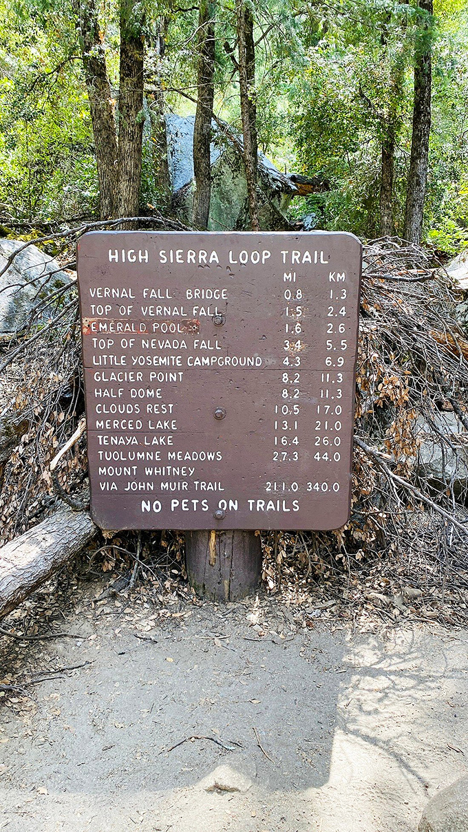 The trail marker that makes you question your life choices. Mount Whitney via John Muir Trail: a casual 211 miles away—just a light afternoon stroll.