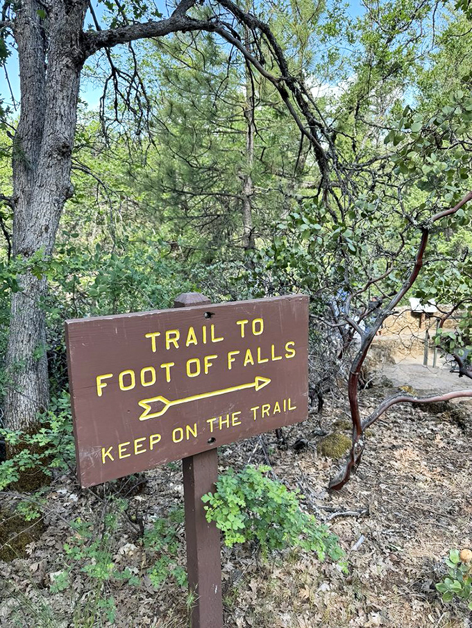 This sign points the way with the cheerful authority of someone who knows you're about to have your mind blown by falling water.