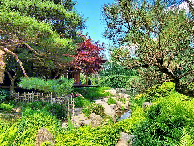 Pathways meander with purpose, leading visitors on a journey where each turn reveals a new perspective worth savoring.