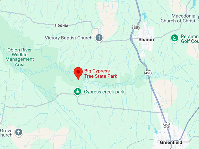 big cypress tree state park map