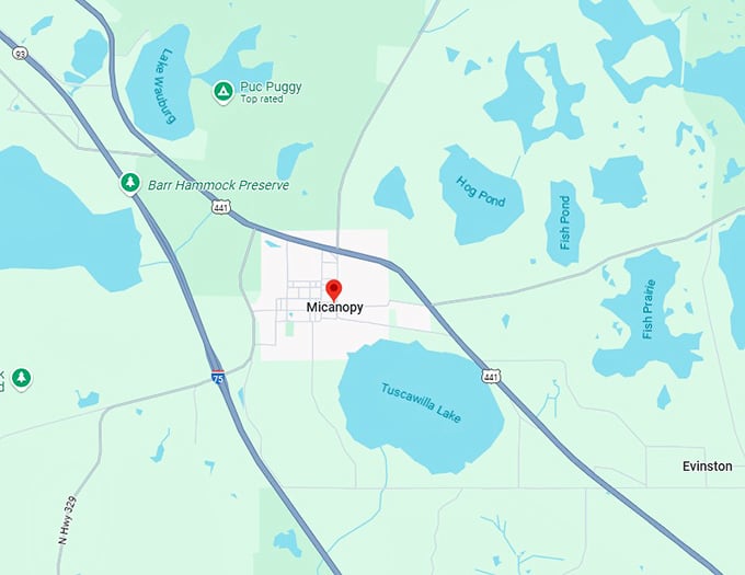16. micanopy map