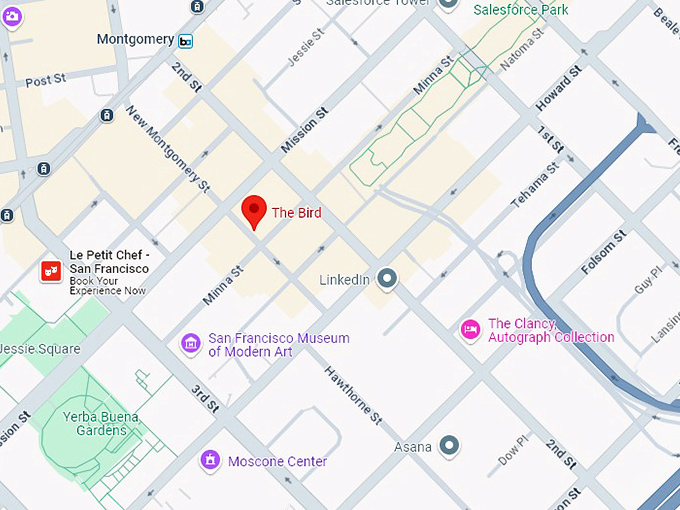 the bird map