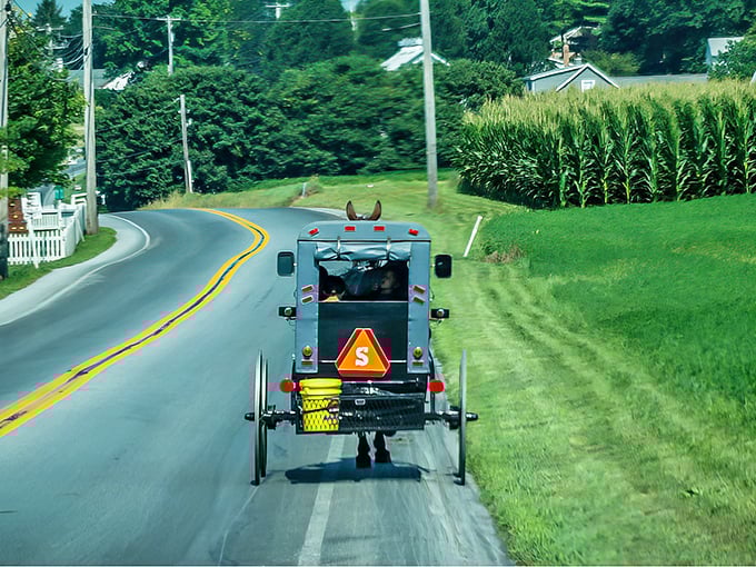 The classic Amish buggy – where the pace of life slows down but the flavors speed up! A glimpse into a world where food takes time and tastes better for it.