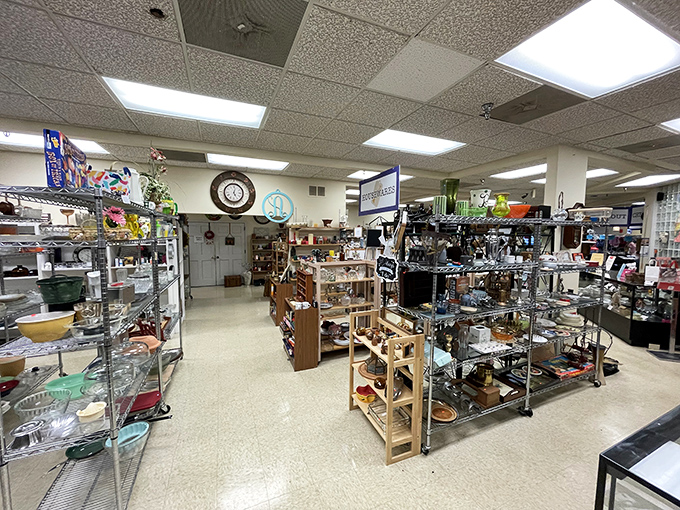 Treasure hunter's paradise! Neatly organized shelves at Blues City Thrift Store beckon with vintage kitchenware and quirky finds waiting to be discovered.
