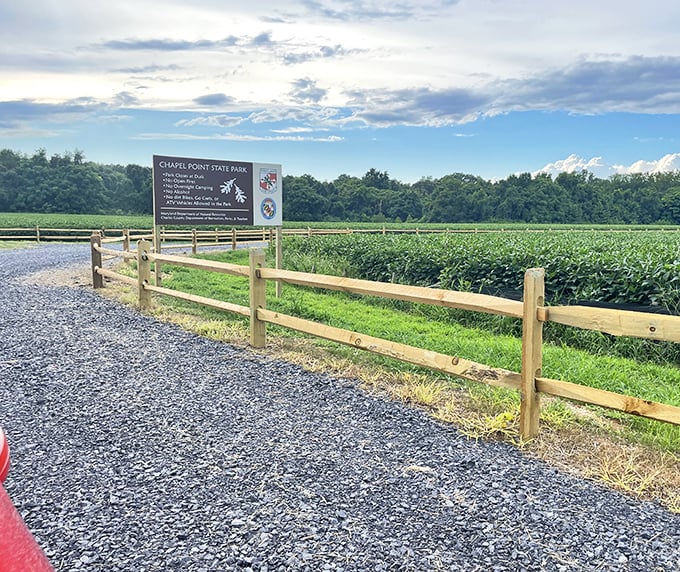 The entrance to Chapel Point State Park beckons with promise – where cornfields and adventure meet under Maryland's big sky.