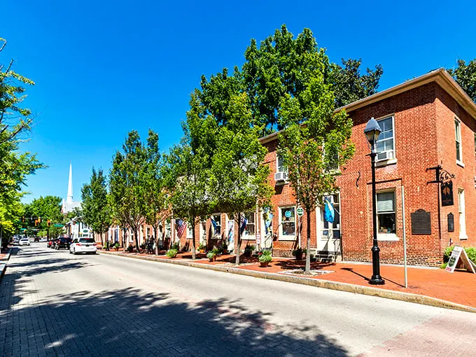 Dover's tree-lined streets and historic brick buildings create a postcard-perfect downtown where your Social Security check stretches like saltwater taffy.