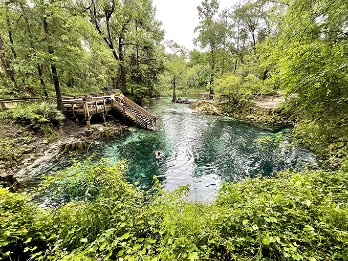 Madison Blue Spring's wooden platform invites you into waters so blue, it's like Mother Nature's own swimming pool.