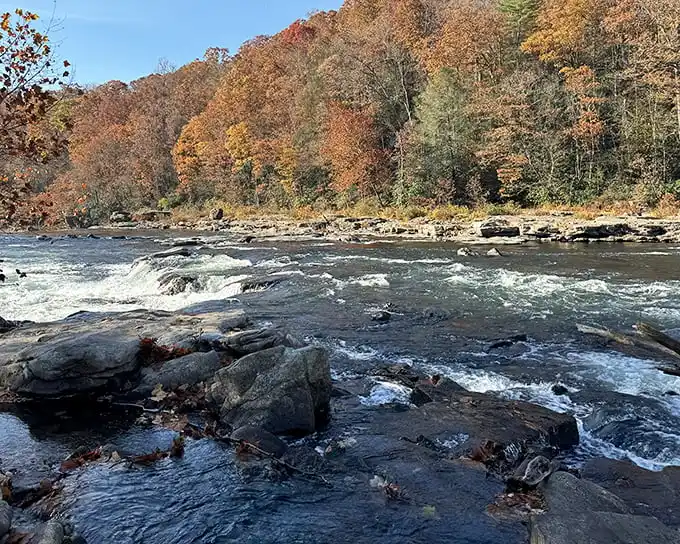 The Youghiogheny River at Ohiopyle doesn't just flow – it dances, tumbles and puts on a show worthy of Broadway!