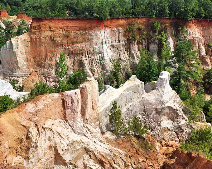 Providence Canyon's layered walls look like nature's own layer cake – if Georgia had been baking with crayons instead of flour!