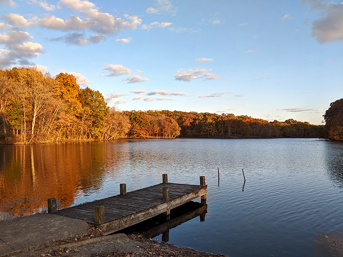 Sunset magic! A wooden dock invites quiet contemplation at Red Hills State Park, where autumn trees paint the water with golden reflections.