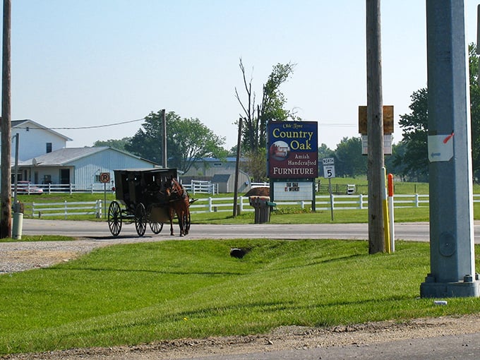 Horse and buggy passing Country Oak Furniture – where craftsmanship moves at the perfect pace, no rush hour required!