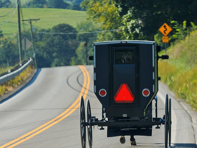 Ohio's back roads offer the ultimate time travel experience. This buggy's not stuck in traffic—it's preserving a deliberate way of life.